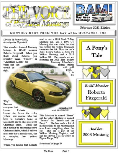 Newsletters – Bay Area Mustangs